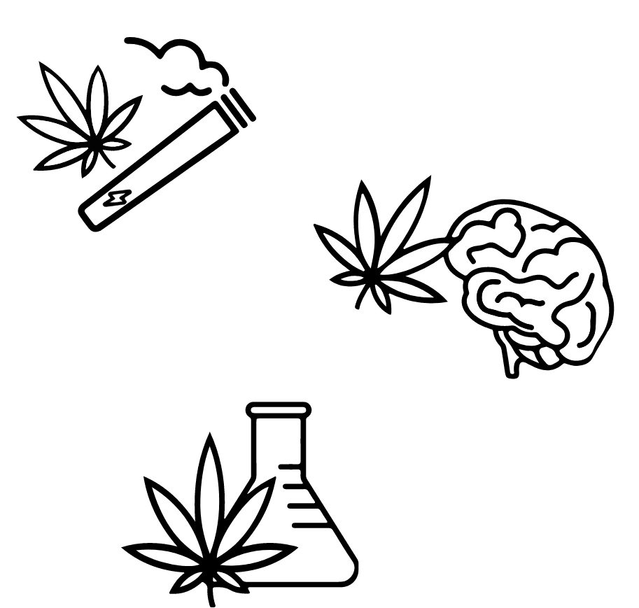 Aac Fr 06 Cannabis Expériences Santé Canada